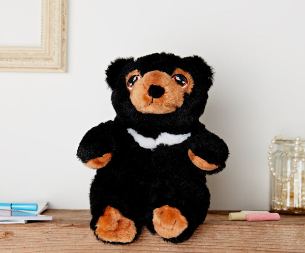 Keeleco 100% Recycled Plush Eco Toys (Black Bear) | Well Made Gifts